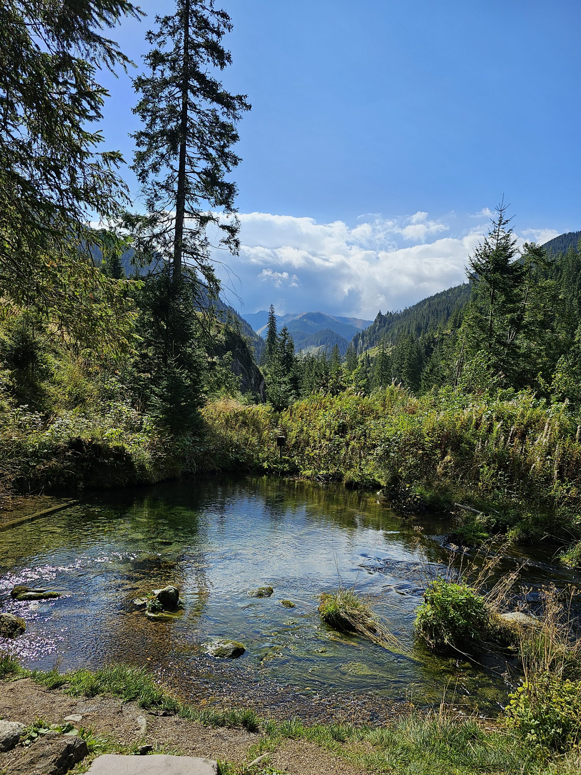 Polija – vēsturiskās pilsētas, UNESCO vietas un daba | unotravel